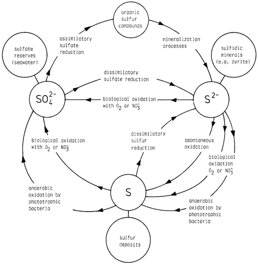 Water Quality - Wiki - Scioly.org