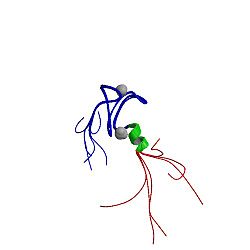 Anatomy/Immune System - Wiki - Scioly.org