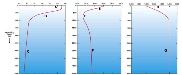 Dynamic Planet/Oceanography - Wiki - Scioly.org