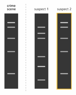 Crime Busters - Wiki - Scioly.org
